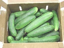 Cucumber Select Case (45-50)lb - Keemat Grocers